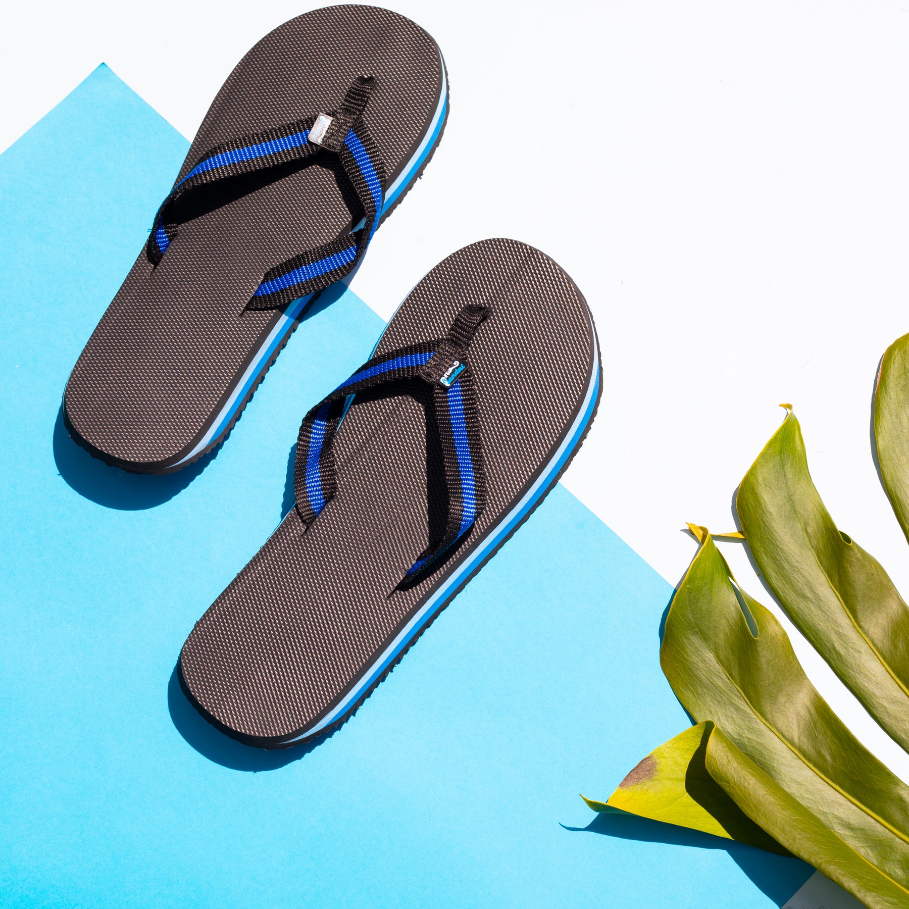 J5 Original Surfer Jandals™ – NZ Jandal (Triton Sourcing & Distribution ...